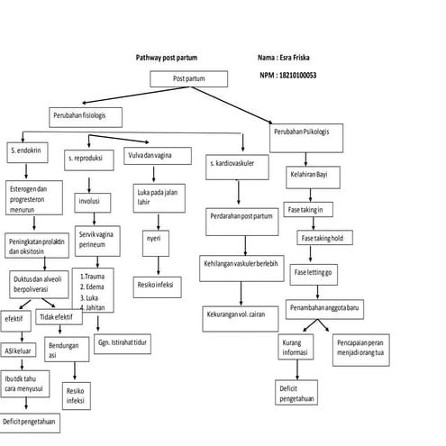 Pathway post partum.docx