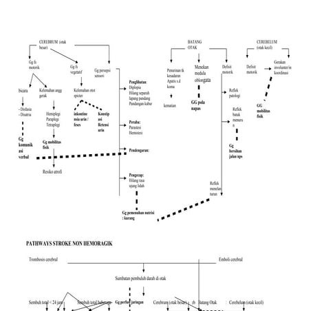 Pathways stroke | DOC