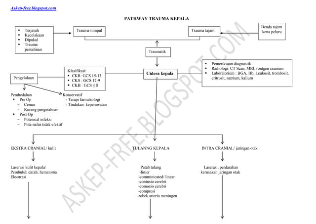 Pathway ca paru | DOCX