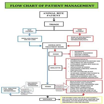 PATIENT MANAGEMENT FLOW CHART FINAL.pdf