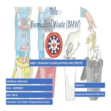 bmlt project patient safety[1] [Read-Only].pptx | Healthcare Industry ...