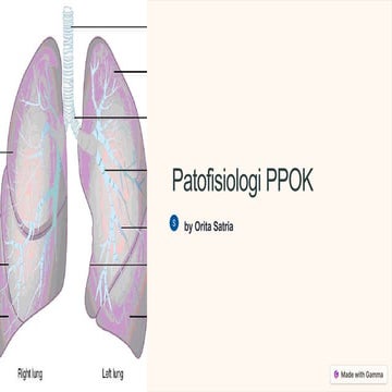 Patofisiologi-PPOK.pptx