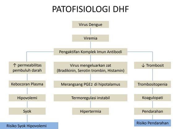 pathway dhfPathway dhf | DOCX