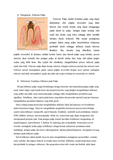 Patogenesis Limfadenopati dan Limfadenitis.pptx