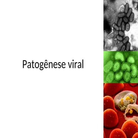 Patogênese Viral........................ | PPT