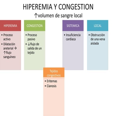 Patologia 5 a hiperemia y congestión | PPTX