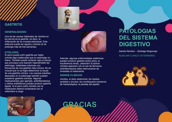 Birrete azul y dorado (1).iyiyu tutyuty ur ret yreyeryrt yrt yry rt yry ...