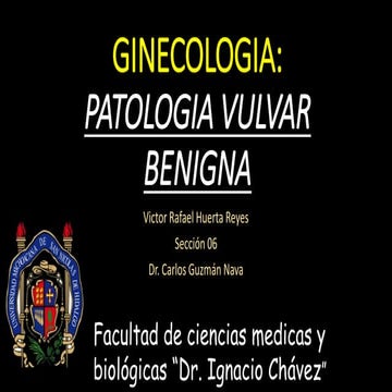 PATOLOGIA VULVAR.pptx