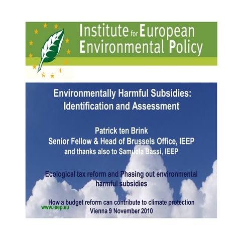 Patrick ten brink of IEEP EHS Identification Assessment 9 Nov 2010 Vienna | PDF | Environmental ...