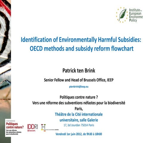 Patrick ten Brink of IEEP OECD tools and reform flowchart at IDDRI event Paris 1 June 2012 | PPT