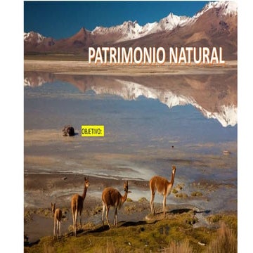 Patrimonio natural.pptx