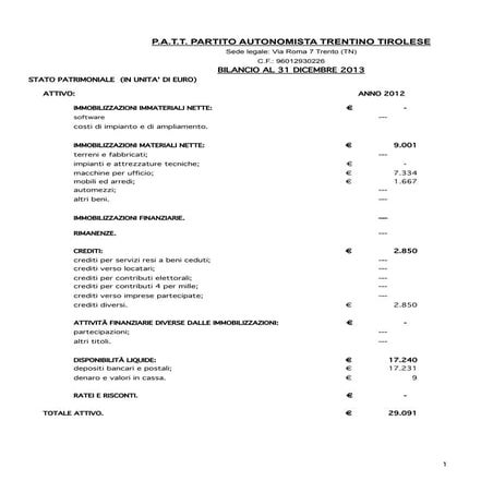PATT bilancio 2013 | PDF