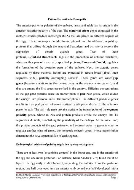 Developmental Specification & Differentiation | PDF