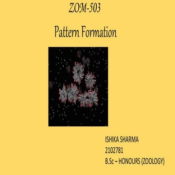 Pattern formation | PPTX