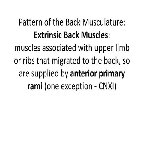 Pattern of the back musculature | PPTX