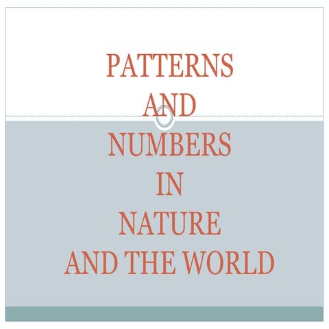 PATTERNS-AND-NUMBERS-IN-NATURE.pdf