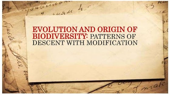 PATTERNS WITH DESCENT MODIFICATION e.pptx
