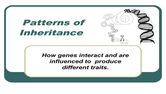 Patterns of Inheritance (Genetics) | PPT