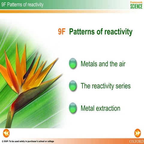 Patterns Of Reactivity | PPS