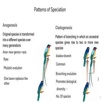 Patterns of speciation- Allopatric, Sympatric, Parapatric and ...