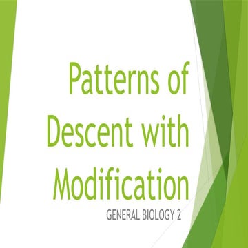 PATTERNS WITH DESCENT MODIFICATION e.pptx