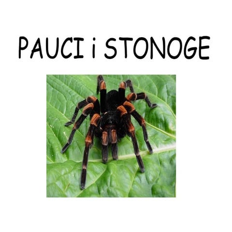 pauci i stonoge, zglavkari građa i razviće.pptx