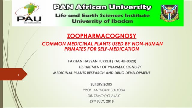 “EFFECTIVENESS OF MAKABUHAY (Tinospora rumphii Boerl) STEM EXTRACT IN ...