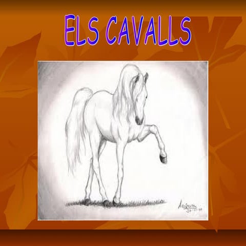 Paula, eva i gemma presentacio els cavalls | PPT