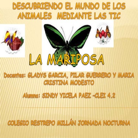 ANIMALES - LA MARIPOSA | PPTX