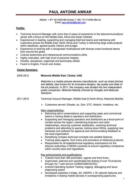 Georges Hajj Resume | PDF