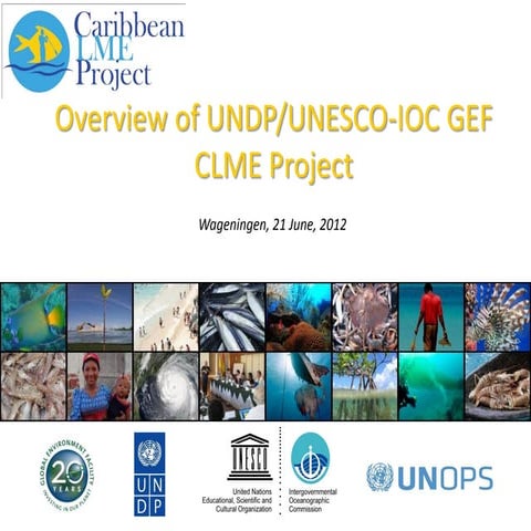 Overview of UNDP/UNESCO-IOC GEF CLME Project | PDF