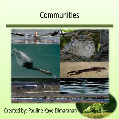 CHMSC Lab.School Science 6 Communities | PPT