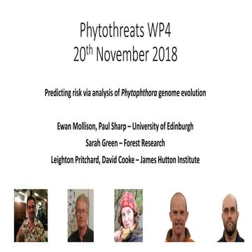 Paul Sharp and Ewan Mollison wp4 Nov 2018 | PPT