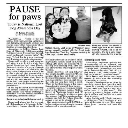 Pause for paws | DOCX