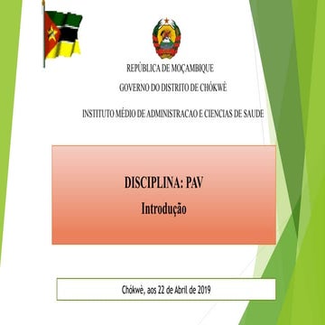 PAV-Actualizado.pptx
