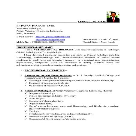 Pavan Patil Cv | PDF