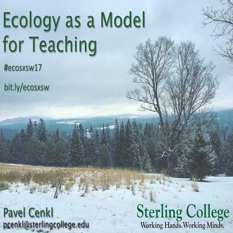 Ecology as a Model for Teaching | PDF