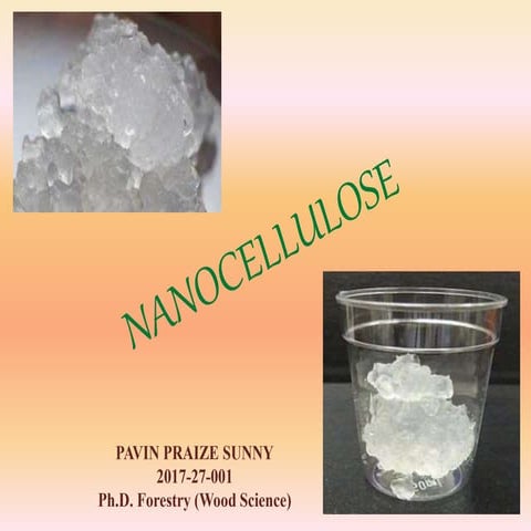 WOOD NANOCELLULOSE | PPTX