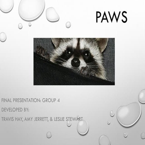 PAWS Content Strategy Plan | PDF | Pets