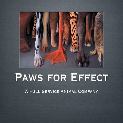 Paws Slides | PPT