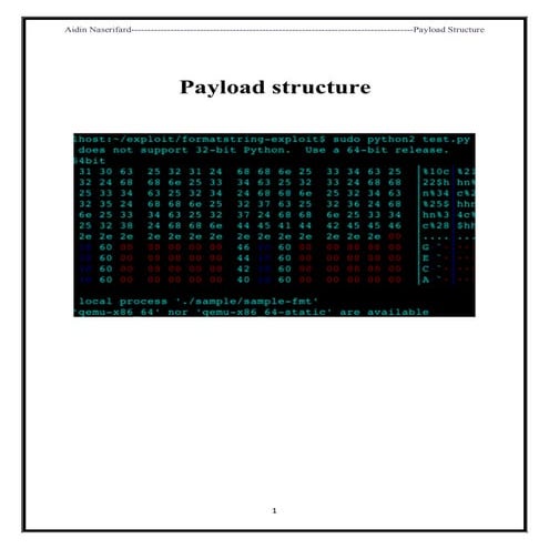 Payload Structure Pdf 