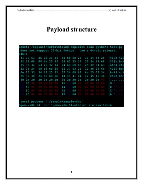 Payload Structure Pdf