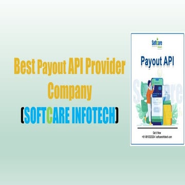 Top Payout API Service Provider in India | PPTX
