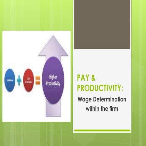 Pay & productivity | PPTX