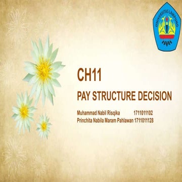Pay structure decision | PPTX