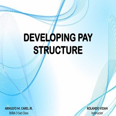 developing pay structure power point presentation | PPTX