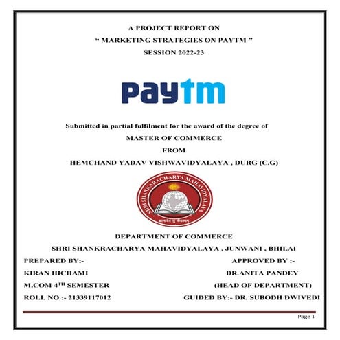 paytm Report.pdf