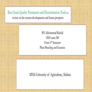 Rice Grain Quality Parameters And Determination Tools Ppt 