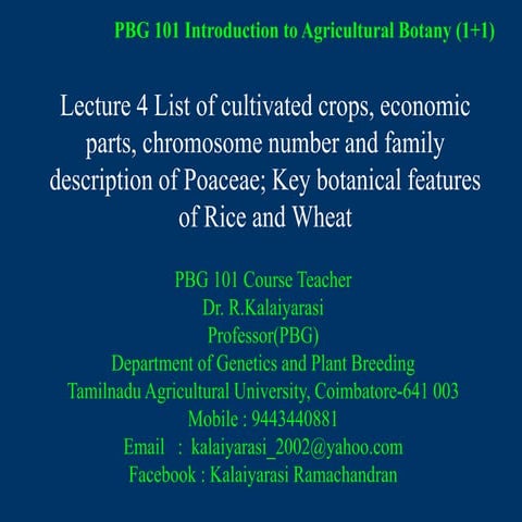 PBG 101 LECTURE 4a. RICE.pptx