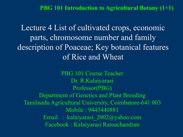 Floral biology of sunflower | PPTX